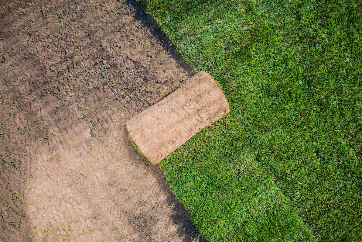 An In-Depth Look at Sod Installation - Magnum ENP